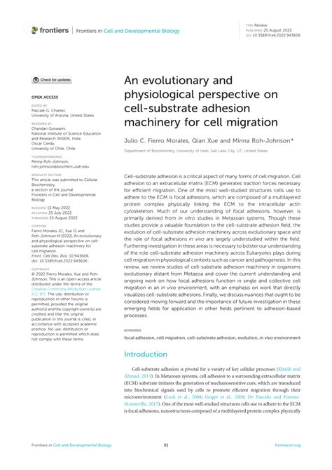 Pdf An Evolutionary And Physiological Perspective On Cell Substrate Adhesion Machinery For