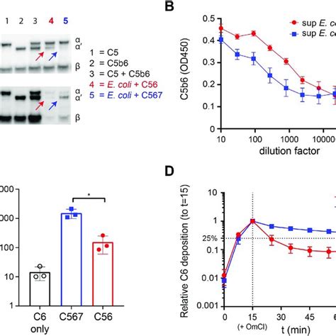 C Prevents Release Of C B From The Surface A Representative Download Scientific Diagram