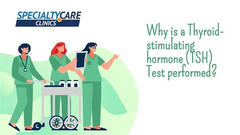 Ppt Why Is A Thyroid Stimulating Hormone Tsh Test Performed