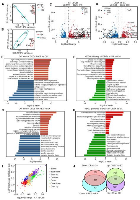Differential Gene Expression Analysis Using Rna Seq In The 40 Off