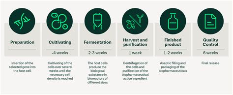 Big Molecules Bioxcellence Boehringer Ingelheim