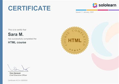 Sara Martinović On Linkedin Completed The Html Course On Sololearn