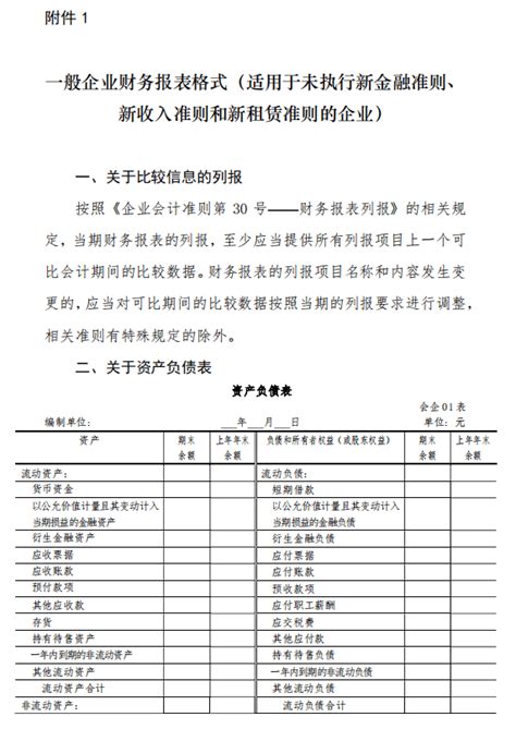 2020年财务报表格式模板（财政部会计司最新最全版本） Pdf 内容