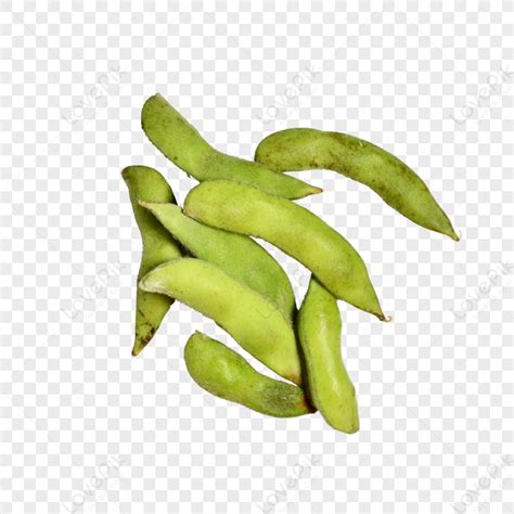 신선한 익은 유기농 녹색 콩 포드생 콩농작물 Png 일러스트 무료 다운로드 Lovepik