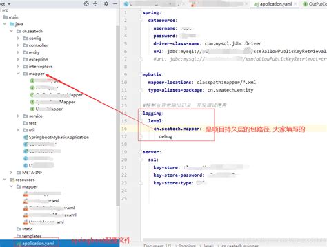 Springbootmybatis 控制台打印出sql的最简单方法项目答应出sql枫哥和java的博客 Csdn博客