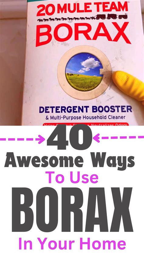 40 Effective Ways To Use Borax In Your Home Artofit
