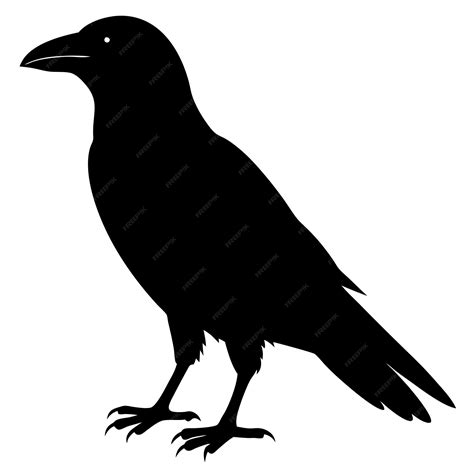 Premium Vector Raven Silhouette Collection In Multiple Poses For
