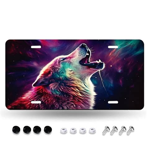 Decorative Stainless Steel License Plate Frame Unique And Rust Free