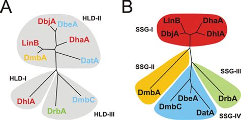 Figure S5 Comparison Of Evolutionary And Substrate Specificity