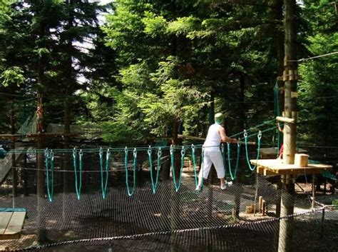 儿童森林探险乐园 层儿童 烟台儿童乐园 第15页 大山谷图库