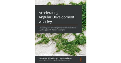 accelerating angular development with ivy[book]