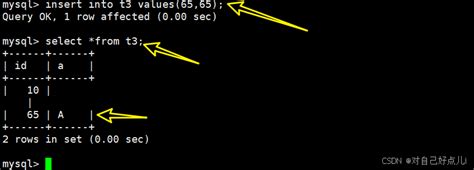 4mysql数据类型 Csdn博客