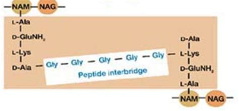 Lec Intro Flashcards Quizlet