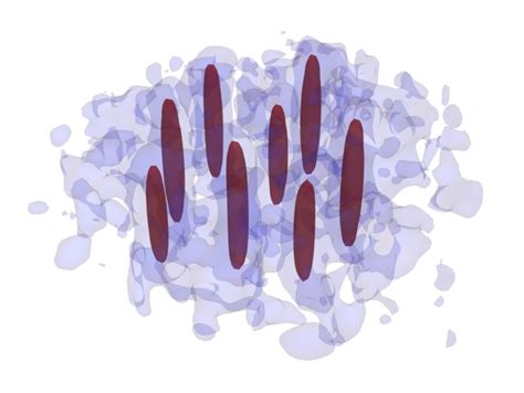 Dipolar Quantum Gases 5th Institute Of Physics University Of Stuttgart