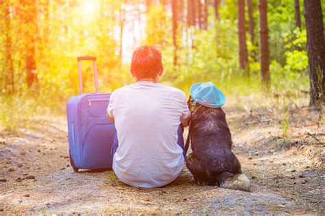 남자 여행자 카메라에 다시 여름에 강아지와 여행 가방 소나무 숲에서 비포장도로에 앉아 태양 모자를 쓰고 개입니다 그의 여행에 대해 생각 하는 남자 가방에 대한 스톡 사진 및