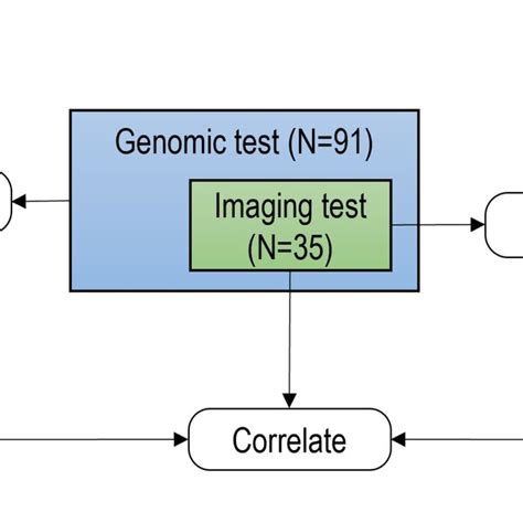 General Framework And Overview Of The Datasets Used For The