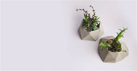 콘크리트 냄비에 다육 식물과 선인장의 두 꽃 구성 원래 흰색 배너 미니 정원 다각형 모양냄비에 고립 된 꽃 작은 묘목을위한 수제 콘크리트 냄비 회색 시멘트 Diy에 대한