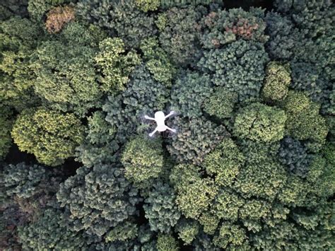 Top View Of A Drone Over A Dense Forest Stock Image Image Of Unmanned Aircraft 254479039