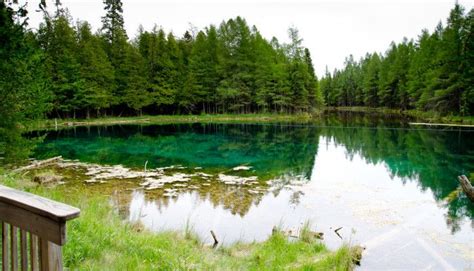 Everyone In Michigan Must Visit The Stunning Natural Spring At Palms