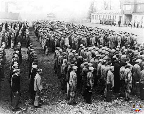 Auschwitz The Sonderkommando Uprising 7101944 Sangha Kommune Ssr
