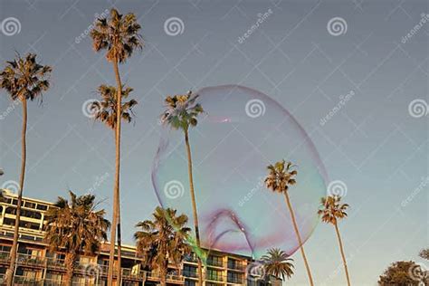 Bubble Among Palm Trees Near Building Summer Vacation Soap Bubbles