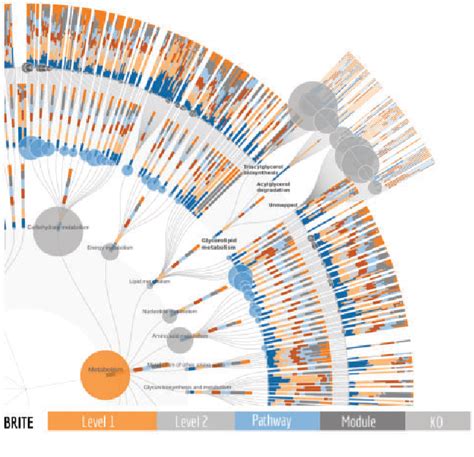 Figure 1 From Functree2 An Interactive Radial Tree For Functional