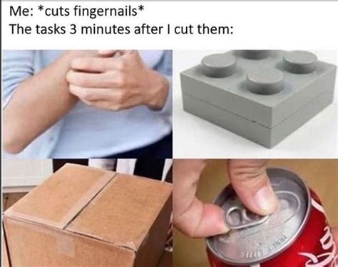15 Memes Found Floating In Our Dankest Garbage Water Really Funny