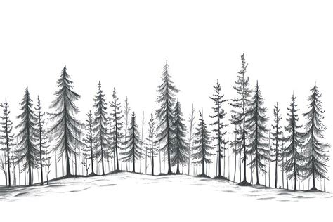 Pine Tree Forest Drawing Sketch Free Photo Illustration Rawpixel