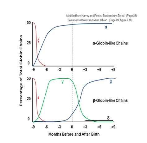 5 Hemoglobin Degradation And Hemoglobinopathies Flashcards Quizlet