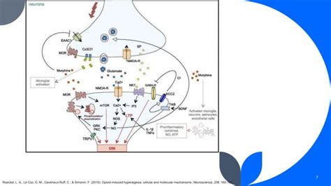 Opioid Induced Hyperalgesia Pptx