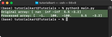 Numpy Nantonum Replace Nan In Array