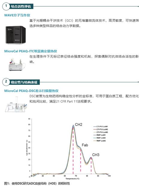 【热点应用】魔法子弹：adc药物的研发如何更高效？