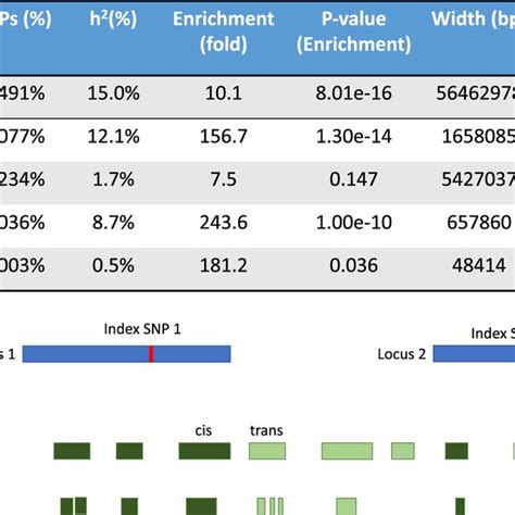 Ldsc Results For Schizophrenia Heritability Top Ldsc Analysis Outputs