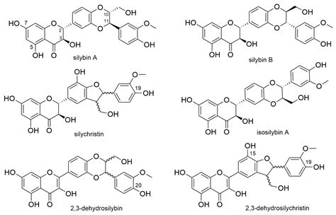 Silymarin Dehydroflavonolignans Chelate Zinc And Partially Inhibit Alcohol Dehydrogenase