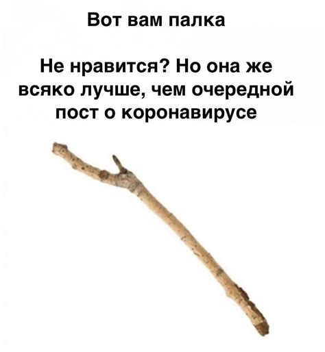 Держи палку | Пикабу