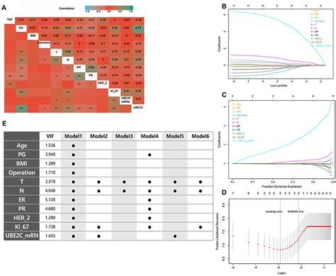 Dfs Prediction Model Using Ube2c In Breast Cancer Patients Bctt
