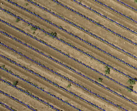 from left to right line detection in bean a and spinach b fields