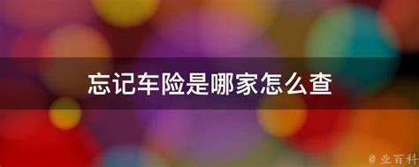 忘记车险是哪家怎么查 业百科