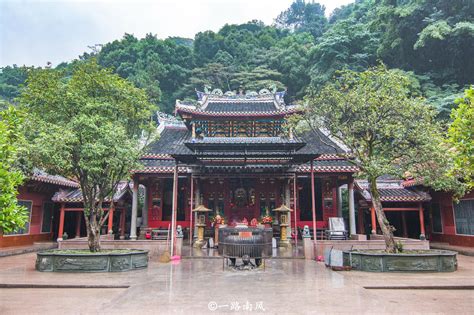 广东最独特的寺庙，周围林木茂盛，屋顶却看不到一片落叶！ 寺庙 灵光寺 落叶 新浪新闻