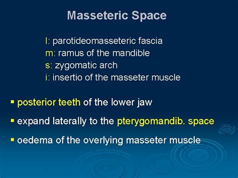 Odontogenic Infection Pathway Odontogenic Infections Are Caused By