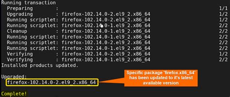 How To Update A Specific Package In RHEL Using YUM Cases LinuxSimply