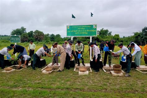 ကံမမြို့နယ်၌ လမ်းဘေးဝဲယာစိမ်းလန်းစိုပြေရေး ၂၀၂၄ ခုနှစ် မိုးရာသီ စုပေါင