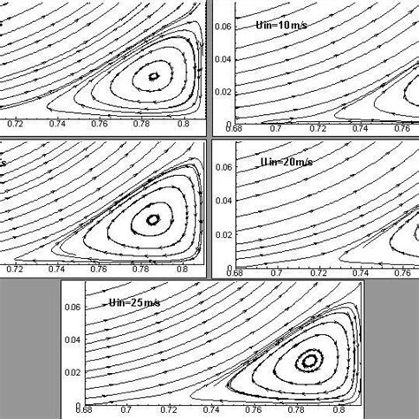 Vortex Formation In The Lower Limb Vortex1 Download Scientific Diagram
