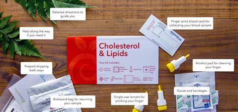 At Home Cholesterol And Lipids Test Kit Hsa Fsa Eligible Everlywell