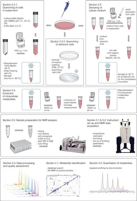 Schematic Workflow Diagram For The Presented Nmr Based Targeted