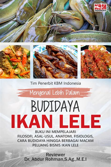 Mengenal Lebih Dalam Budidaya Ikan Lele Penerbit Kbm Indonesia Group
