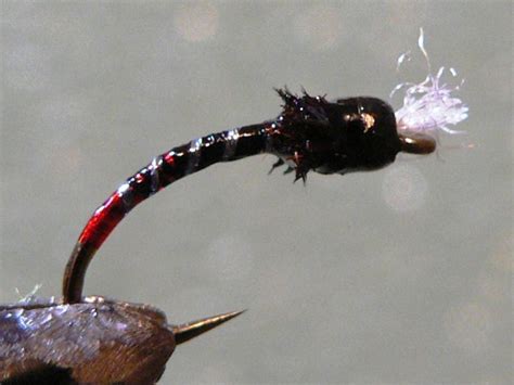 Black And Silver Red Butt Chironomid Pupa Fly Pattern