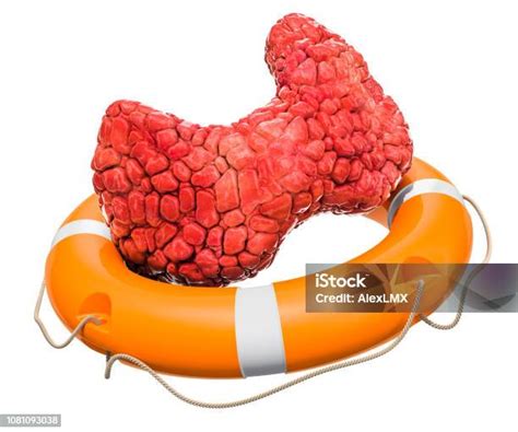 Lifebuoy와 인간의 갑 상선 보호 개념 흰색 배경에 고립 된 3 차원 렌더링 갑상샘에 대한 스톡 사진 및 기타 이미지