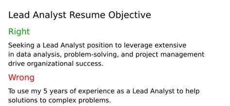 Top 17 Lead Analyst Resume Objective Examples Resumecat