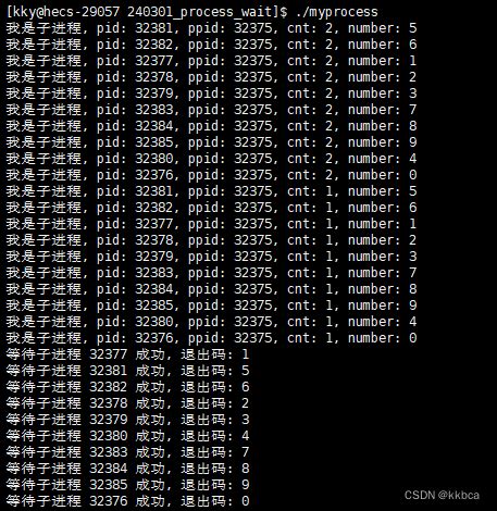 Linux进程控制二进程等待
